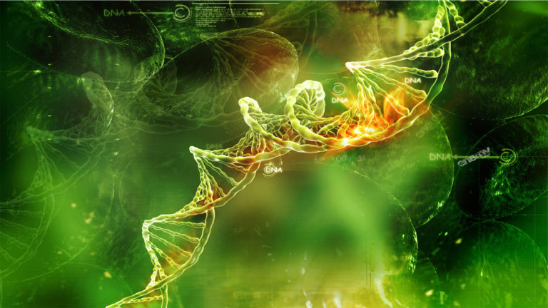 Articles on Biology | Biblical Science Institute