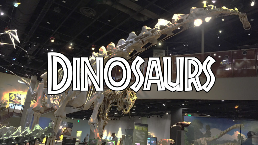 All-Topics | Biblical Science Institute