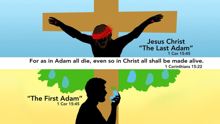 Origins | Biblical Science Institute