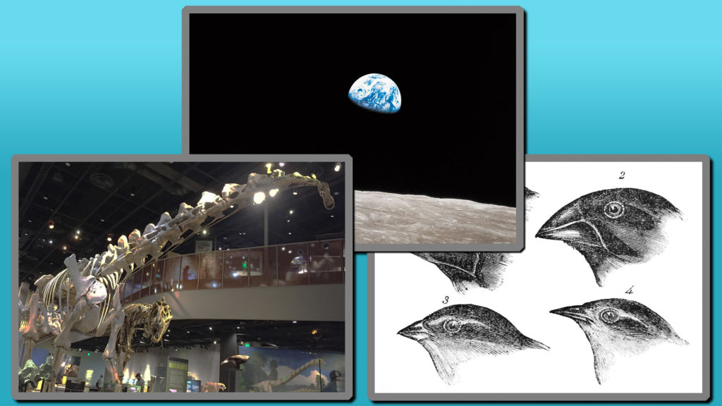Refuting a Flat Earth | Biblical Science Institute