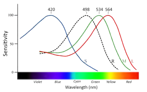 The World’s Most Amazing Camera: Part 3 – Color | Biblical Science ...